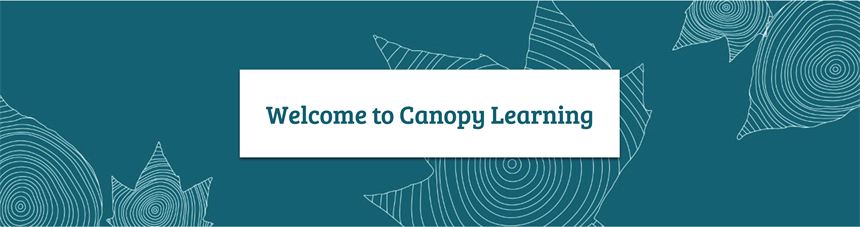 A New Era For Training In The Forestry Sector | News | News & Media ...